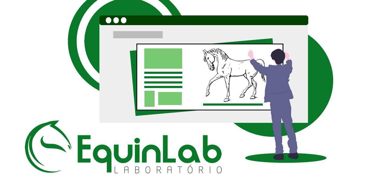 EquinLab - Laboratório de análises clínicas para seu equino